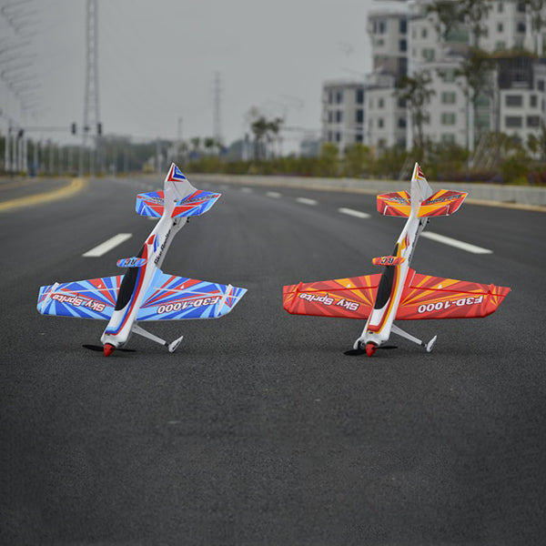 Sky Sprite F3D-1000 1000mm Wingspan EPO 15E 3D Aerobatic RC Airplane K